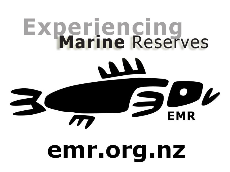 Experiencing Marine Reserves - EMR - Tasman Bay Guardians